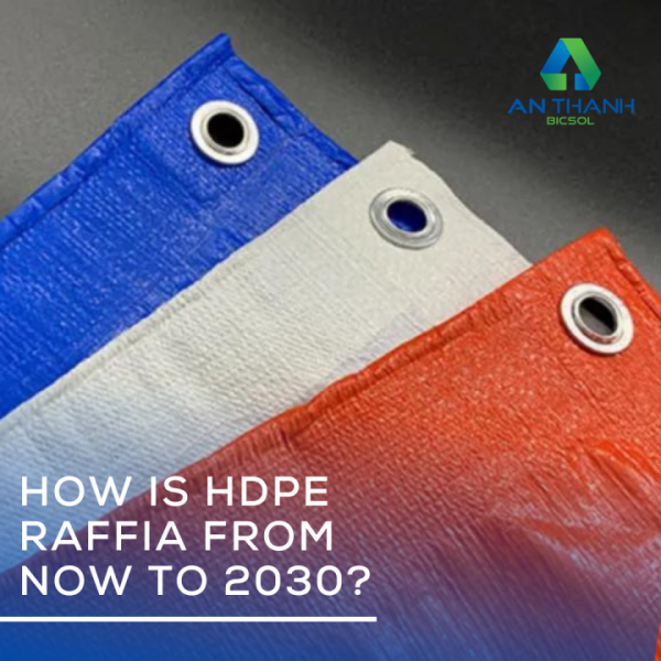 How is HDPE raffia from Now to 2030